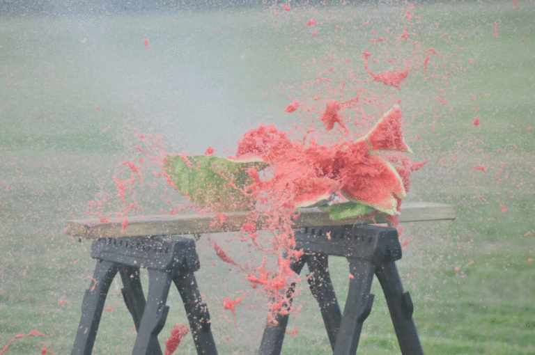 12 Gauge 2 3/4 Gualbo Steel Slug – Frag Grenade Slug | Gum Gully Provision